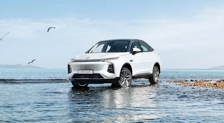 MG MG WHALE 2025 Price in Qatar | Wakalat Qatar